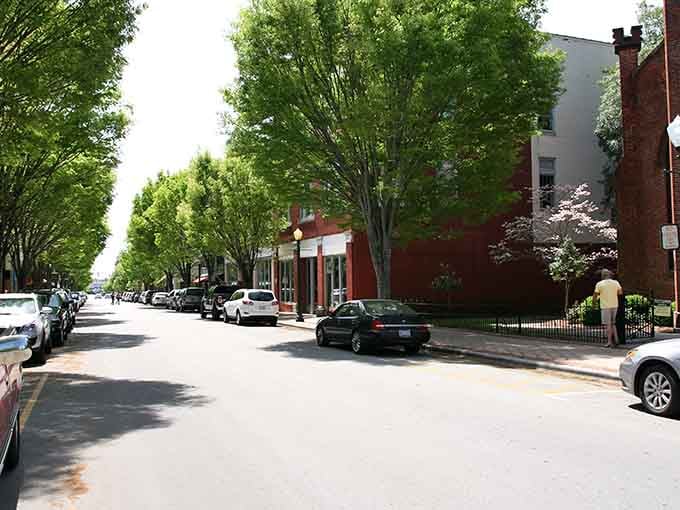 Tree-lined streets that look like someone's been photoshopping reality, except this is actually just Tuesday in New Bern.