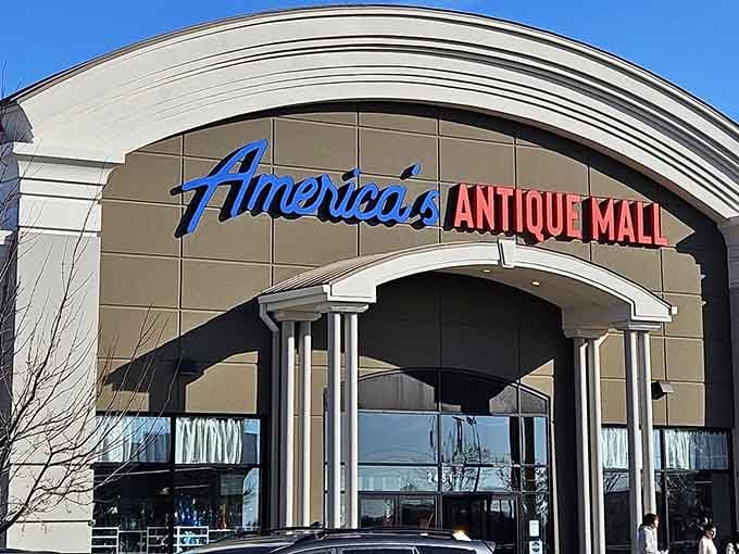 The blue script logo promises adventure, while those white columns add just enough elegance to make treasure hunting feel fancy.