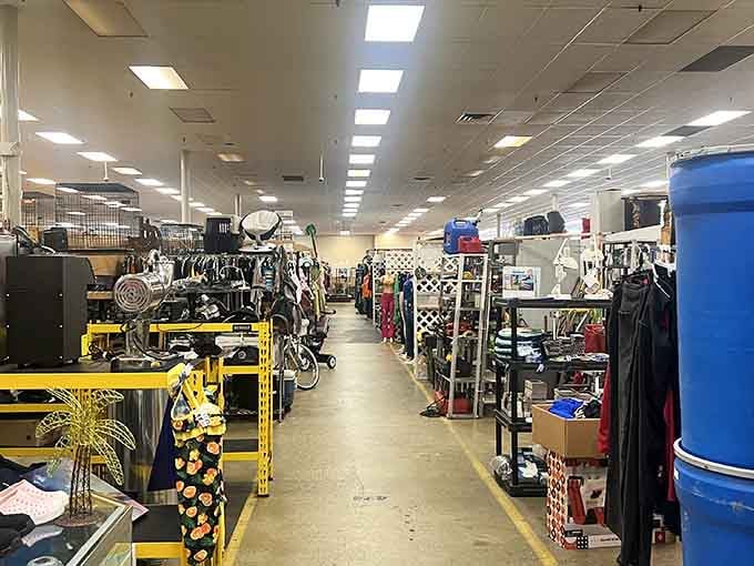 Those aisles stretch on forever, packed with treasures waiting to transform your home into something extraordinary.