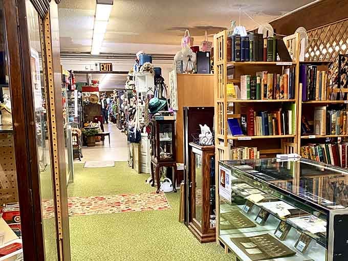 Wander through aisles of vintage books and collectibles, where every corner promises a new discovery waiting to be found.