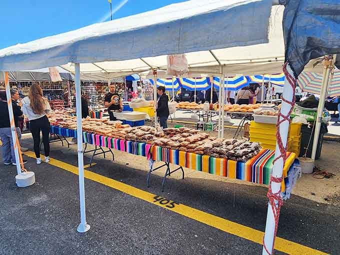 A rainbow of power tools stretches across the pavement, tempting DIY enthusiasts with promises of weekend projects finally completed.