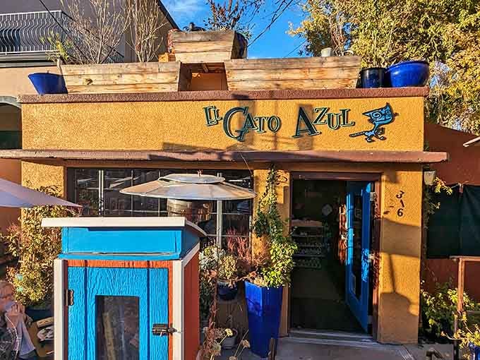 El Gato Azul's cheerful facade practically begs you to step inside and discover what culinary magic awaits within.
