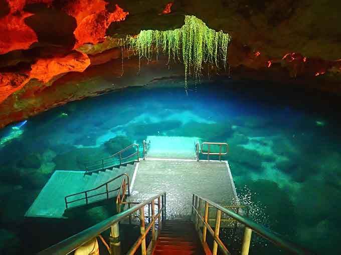 That impossibly blue water glowing beneath ancient rock formations isn't Photoshop, it's just Florida showing off its prehistoric side.