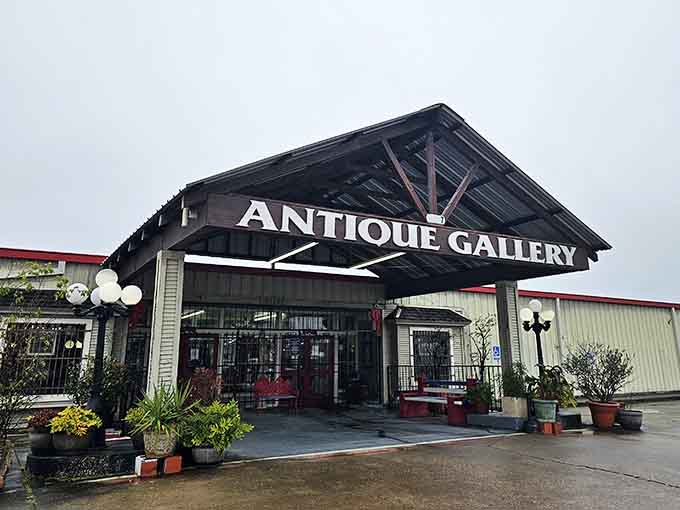 That welcoming entrance promises treasures inside, and trust me, it delivers on every single square foot of that promise.