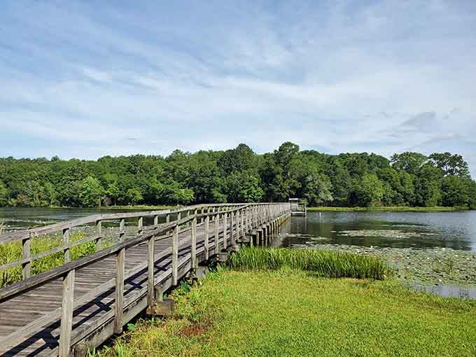 The wooden boardwalk at Frank Jackson State Park stretches into serenity like nature's red carpet, inviting you to stroll above the lily-dotted waters.