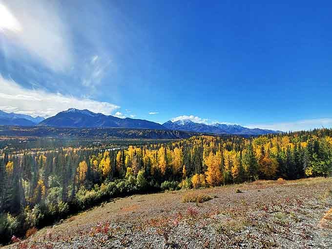 Autumn's golden touch transforms the landscape near Matanuska Glacier, creating nature's perfect color palette against the mountain backdrop.