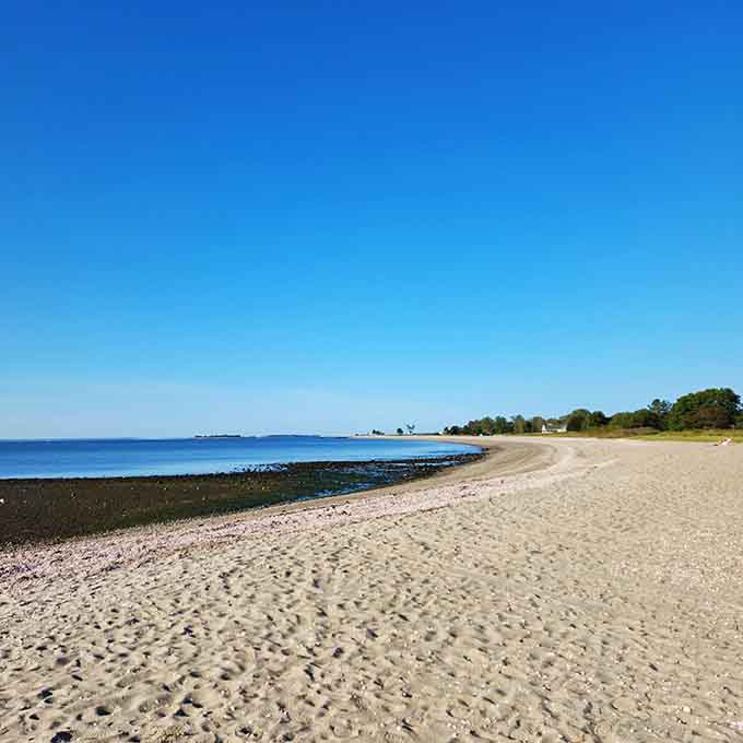 The beach at Sherwood Island stretches like nature's welcome mat, where Long Island Sound whispers secrets to Connecticut's oldest state park.
