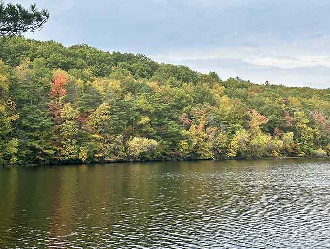Lake Wintergreen reflects autumn's grand finale like nature's own mirror, doubling your viewing pleasure absolutely free.
