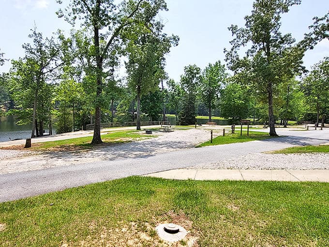 Picnic paradise found! This shaded spot offers the perfect setting for that sandwich you've been thinking about since breakfast.
