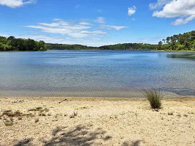 Crystal-clear waters that would make Caribbean islands jealous &ndash; Nickerson's kettle ponds offer Cape Cod's most surprising swimming experience.