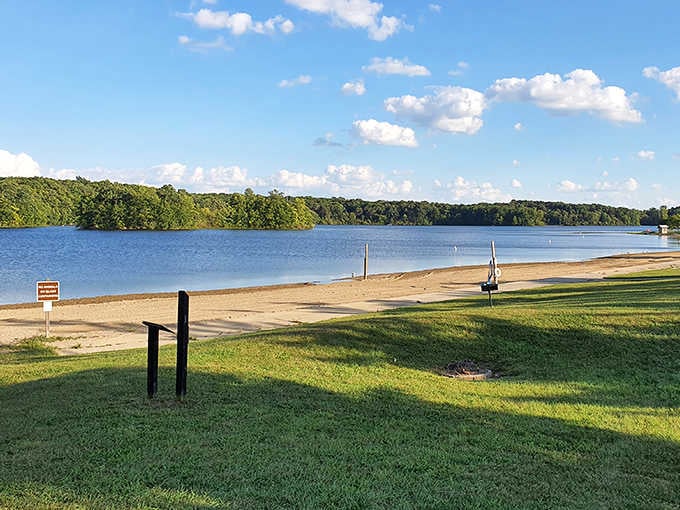 The perfect Michigan postcard: crystal clear waters meeting pristine shoreline, with just enough beach to wiggle your toes in the sand.