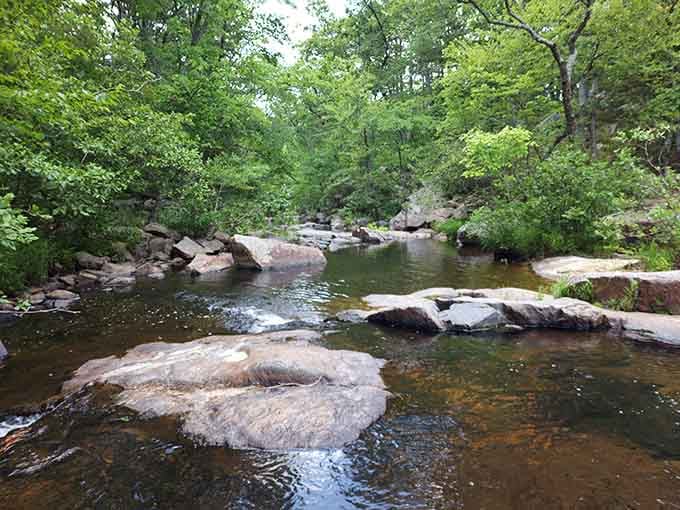 Pickle Creek's crystal-clear waters invite you to dip your toes in &ndash; nature's version of a spa day where the fish give free pedicures and the rocks offer complimentary back support.