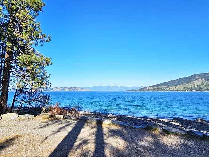 Mother Nature showing off again! The impossible blue of Flathead Lake stretches to mountain horizons, making office screensavers look like amateur hour.