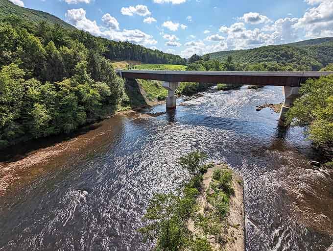 The bridge spanning the Lehigh River isn't just functional—it's the perfect frame for nature's masterpiece below. Sunlight dancing on rippling waters tells you you've arrived somewhere special.