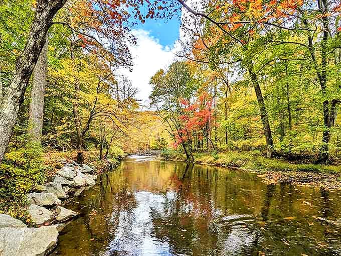 Nature's mirror game is on point here &ndash; autumn foliage reflecting in Ridley Creek creates a double dose of Pennsylvania splendor.