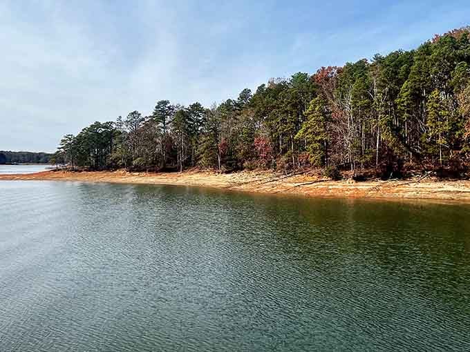 Those emerald waters against the sandy shore create a view that'll make your screensaver jealous of real life.