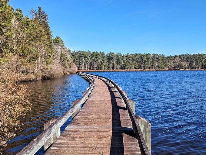 The boardwalk at Cheraw stretches into the distance like nature's red carpet, inviting you to strut your stuff among towering pines and sparkling waters.
