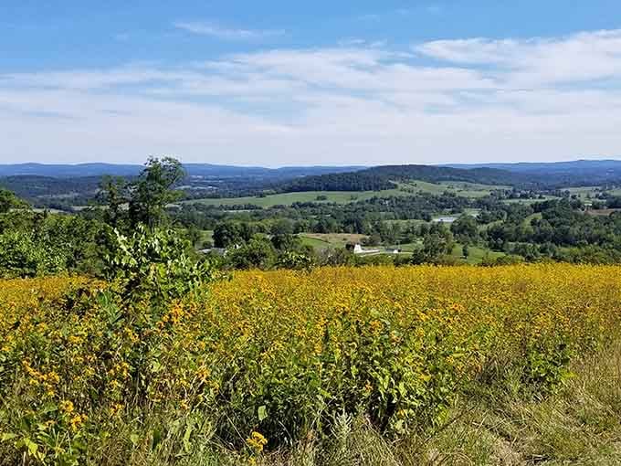 Those rolling meadows and mountain views prove Virginia's been holding out on you this whole time.