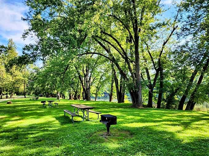 Those picnic tables under towering trees aren't just furniture; they're front-row seats to nature's daily performance.