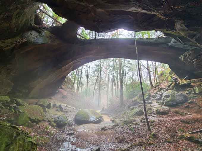 That ethereal mist rolling through the ancient stone arch looks like something from a Tolkien novel come to life.