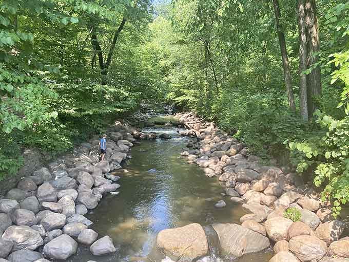 The creek meanders through sun-dappled woods like nature's own meditation path, inviting you to slow down and breathe.