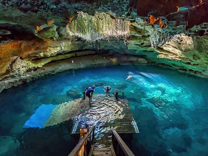 That impossibly blue water glowing beneath ancient rock formations isn't Photoshop, it's just Florida showing off its prehistoric side.