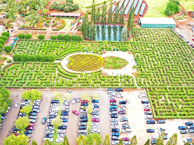 Aerial mastery: The world's largest maze sprawls across Oahu's landscape like a giant green puzzle waiting to be solved.