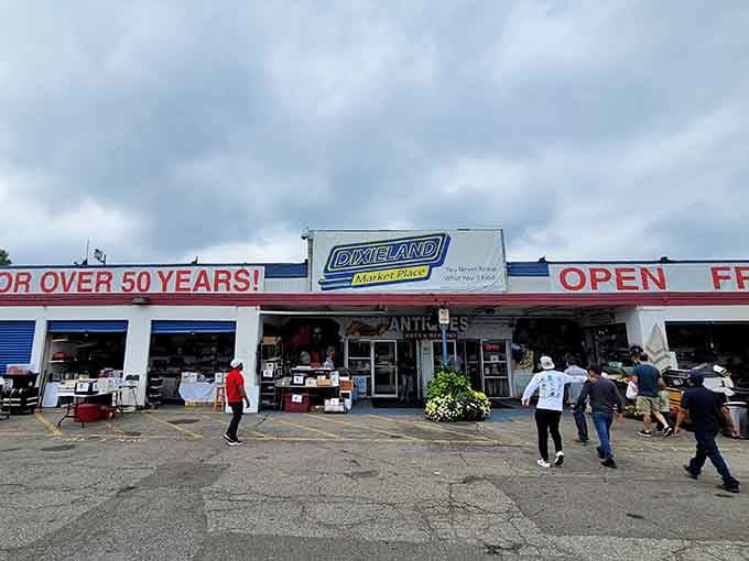 Over fifty years of treasure hunting under one roof, and the adventure never gets old.