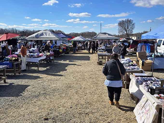 Blue skies and endless possibilities spread before you like a treasure map drawn by optimistic pirates with excellent taste.