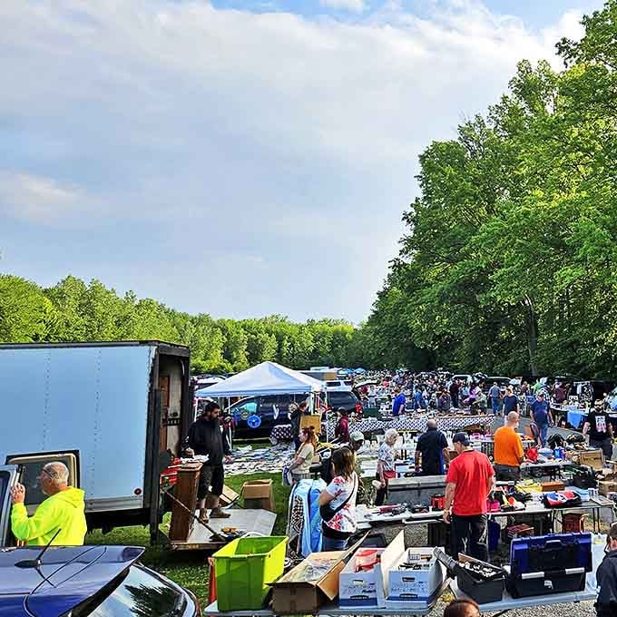The outdoor market sprawls like a treasure hunter's paradise, where one person's castoffs become another's conversation pieces.