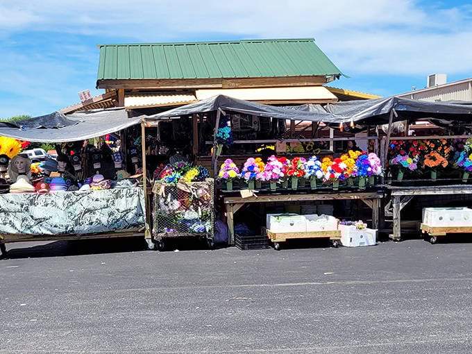 The outdoor stalls at Flea Traders Paradise burst with color like a flower garden where every bloom is actually a potential treasure for your home.