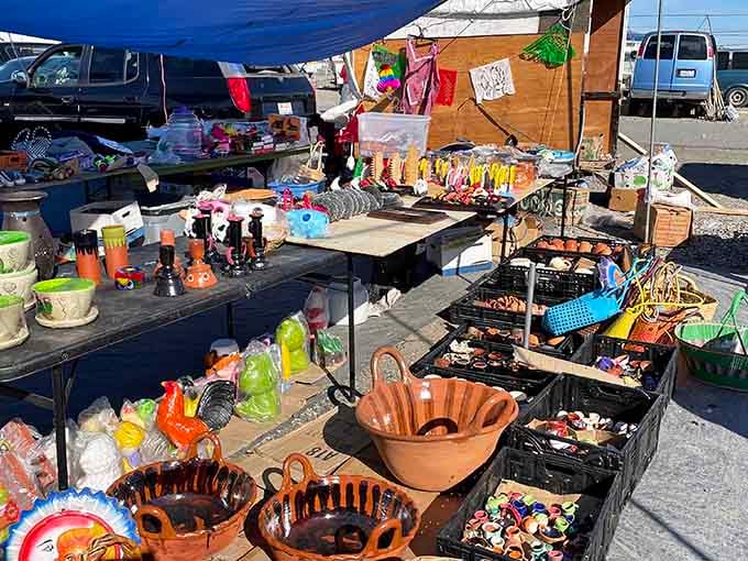 One person's clutter becomes your weekend victory lap, displayed with the pride of a museum curator.