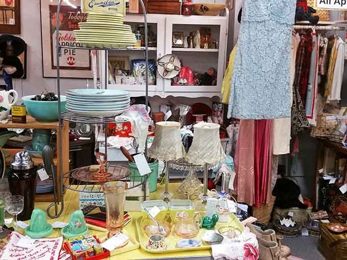 Display cases packed with glassware and collectibles that survived generations without breaking, unlike your smartphone screen after one small drop.