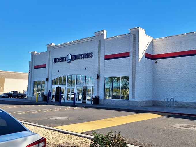 That pristine exterior isn't fooling anyone—inside lies a treasure trove where your twenty bucks becomes a shopping spree.