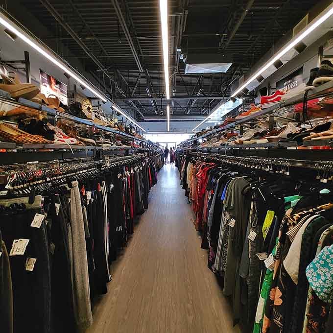 Colorful kicks and clothes creating a outfit rainbow that makes choosing just one pair feel absolutely impossible to accomplish.