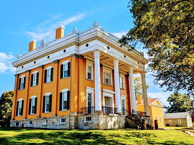 Golden damask wallpaper and burgundy velvet create the kind of opulence your grandmother would call "fancy company rooms."