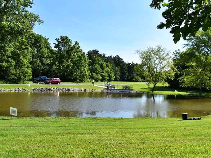 Sometimes the best discoveries are the ones hiding in plain sight, waiting patiently for you to notice.