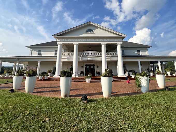 This Southern mansion hosts the most delightful medical facility where every patient leaves smiling and adoption papers replace discharge forms.