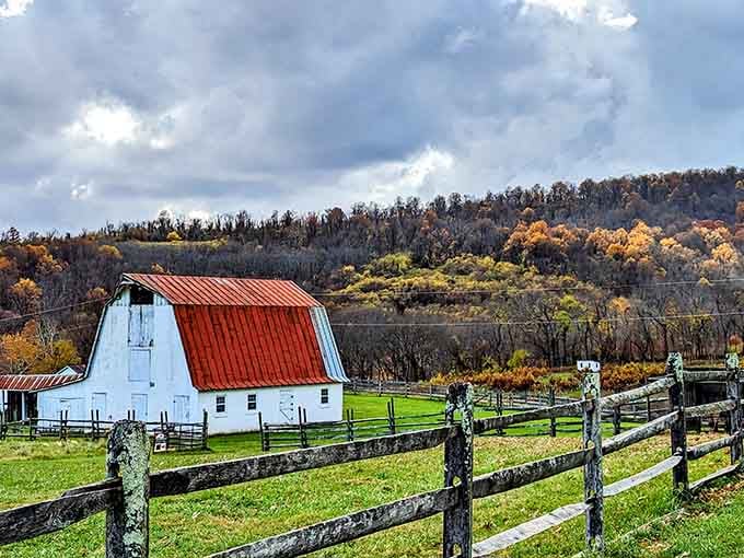 That classic barn with the red roof proves Virginia's countryside hasn't lost its postcard-perfect charm through the centuries.