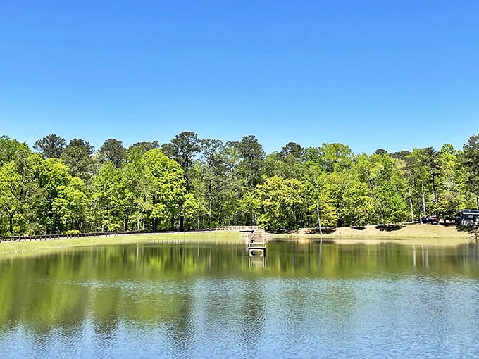 Nature's infinity pool, Georgia-style. The kind of view that makes you forget your phone password&mdash;and why you'd even need it.