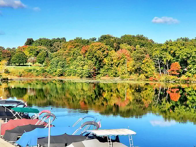 Fall's artistic masterpiece reflected in still waters, with boats standing by like eager audience members waiting for nature's next act.