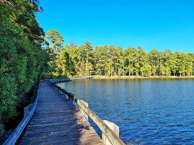 The wooden boardwalk at Cheraw State Park doesn't just lead you around Lake Juniper&mdash;it practically invites you to write poetry about the reflection of pines on still waters.