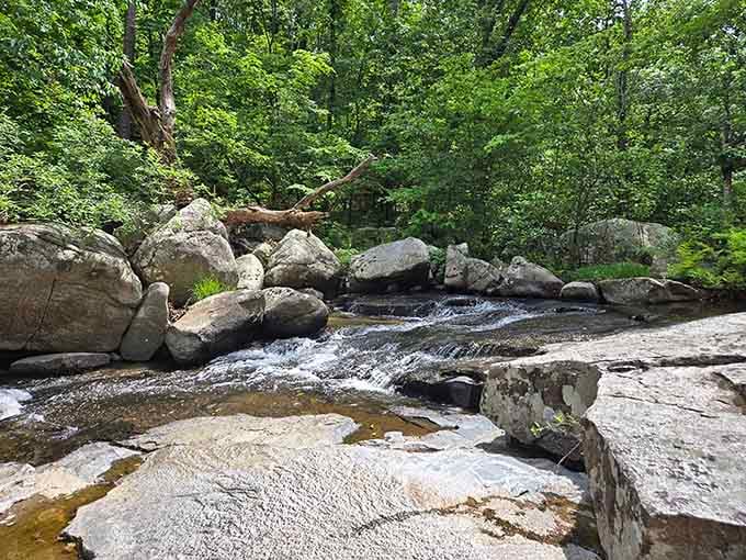 Nature's own architectural marvel &ndash; layered sandstone overhangs Pickle Creek's crystal waters like a geological awning designed by someone who really understood afternoon shade.