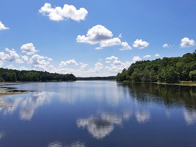 Mirror, mirror on the lake—Frank Jackson's waters reflect clouds so perfectly, it's like Mother Nature checking her makeup before a big date.