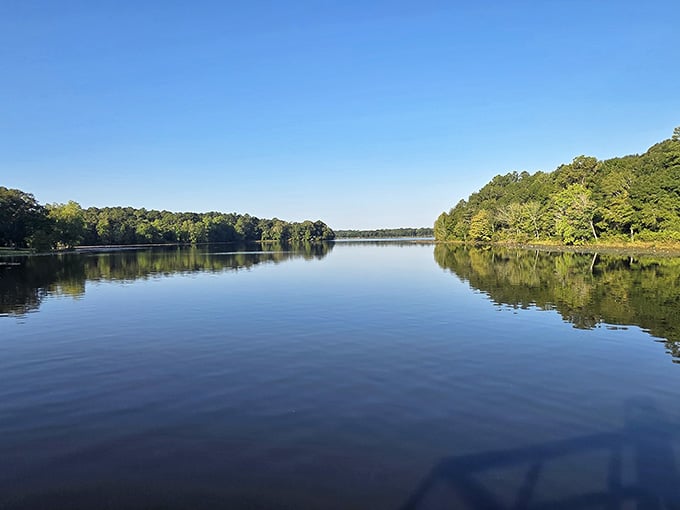 Mirror, mirror on the lake, show me Alabama's most peaceful escape where stress doesn't stand a chance.