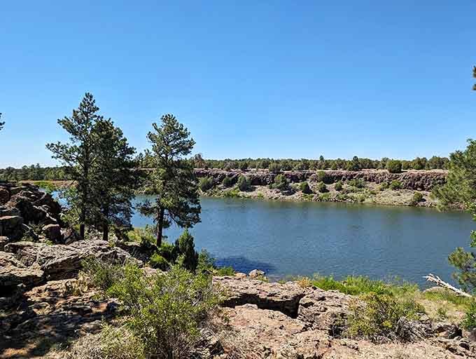 Nature's masterpiece on display: crystal blue waters meet rugged shorelines and towering pines at Fool Hollow Lake, proving Arizona isn't just cacti and tumbleweeds.