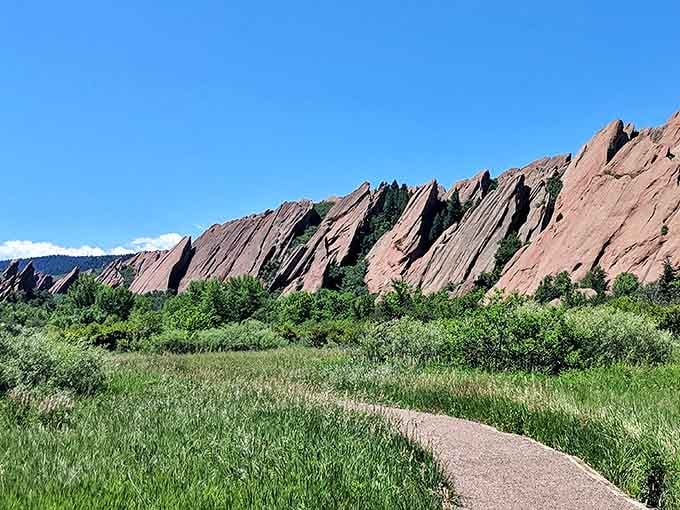 The perfect trail doesn't exi&mdash; Oh wait, here it is at Roxborough, where every step brings you closer to those magnificent tilted slabs without requiring oxygen tanks.