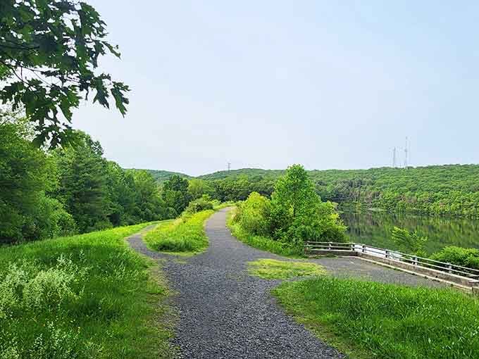 This paved path along the water makes accessibility look this good, proving nature walks don't require mountain goat DNA.