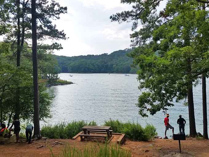 Find your perfect lakeside perch where the only decision you'll face is whether to read or just stare at the water.