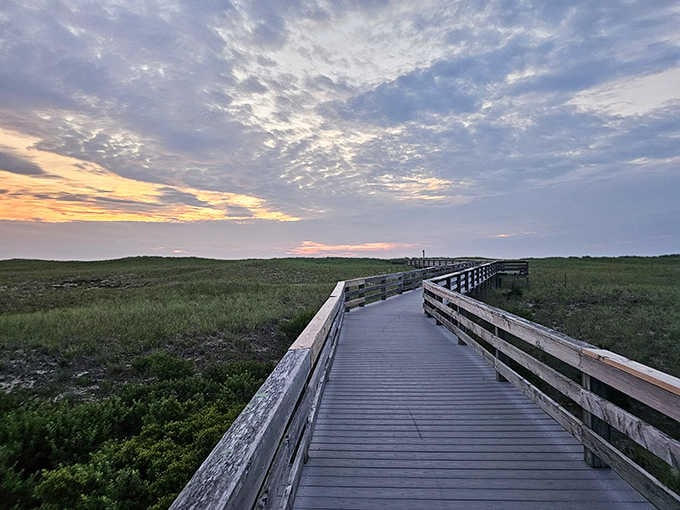Wooden boardwalk winding through Salisbury's salt marshes at sunset, where nature's golden hour transforms the coastal landscape into magic.